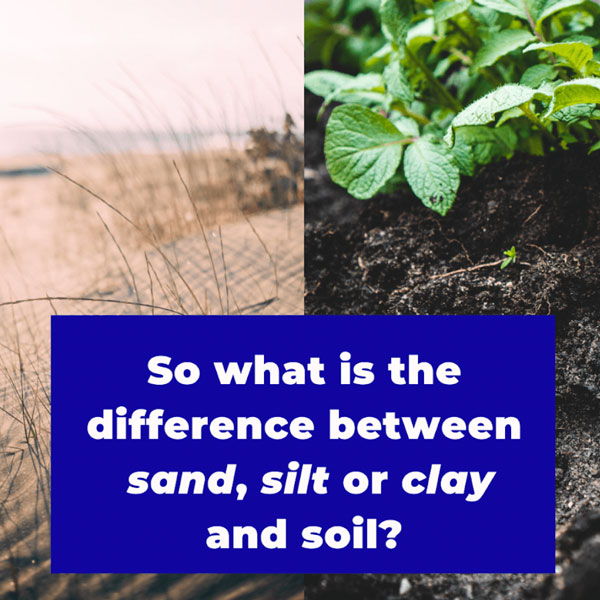 Lesson Resources – Save Soil Exhibition