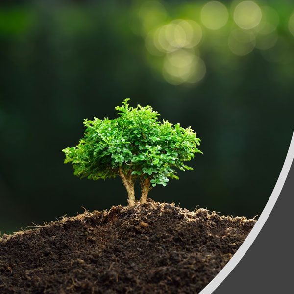 Lesson Resources – Save Soil Exhibition